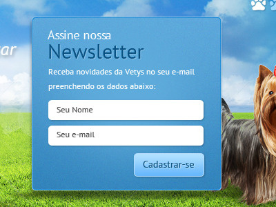 Newsletter by Igor Barazzetti on Dribbble