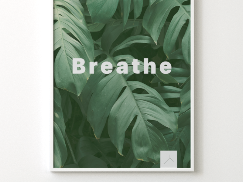 Breathe the green wall frame by Tom Studios on Dribbble