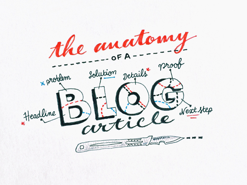 Anatomy Of A Blog Article by Joanna Behar on Dribbble