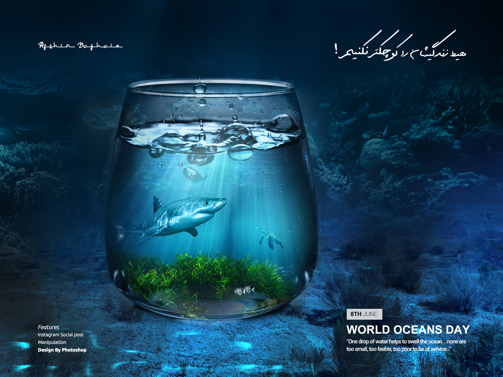 Poster Design Manipulation World Oceans Day by Afshin Baghaie on Dribbble