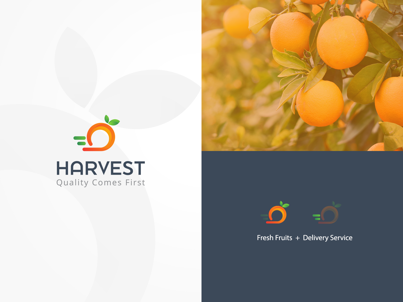 Harvest Logo by Haweya on Dribbble