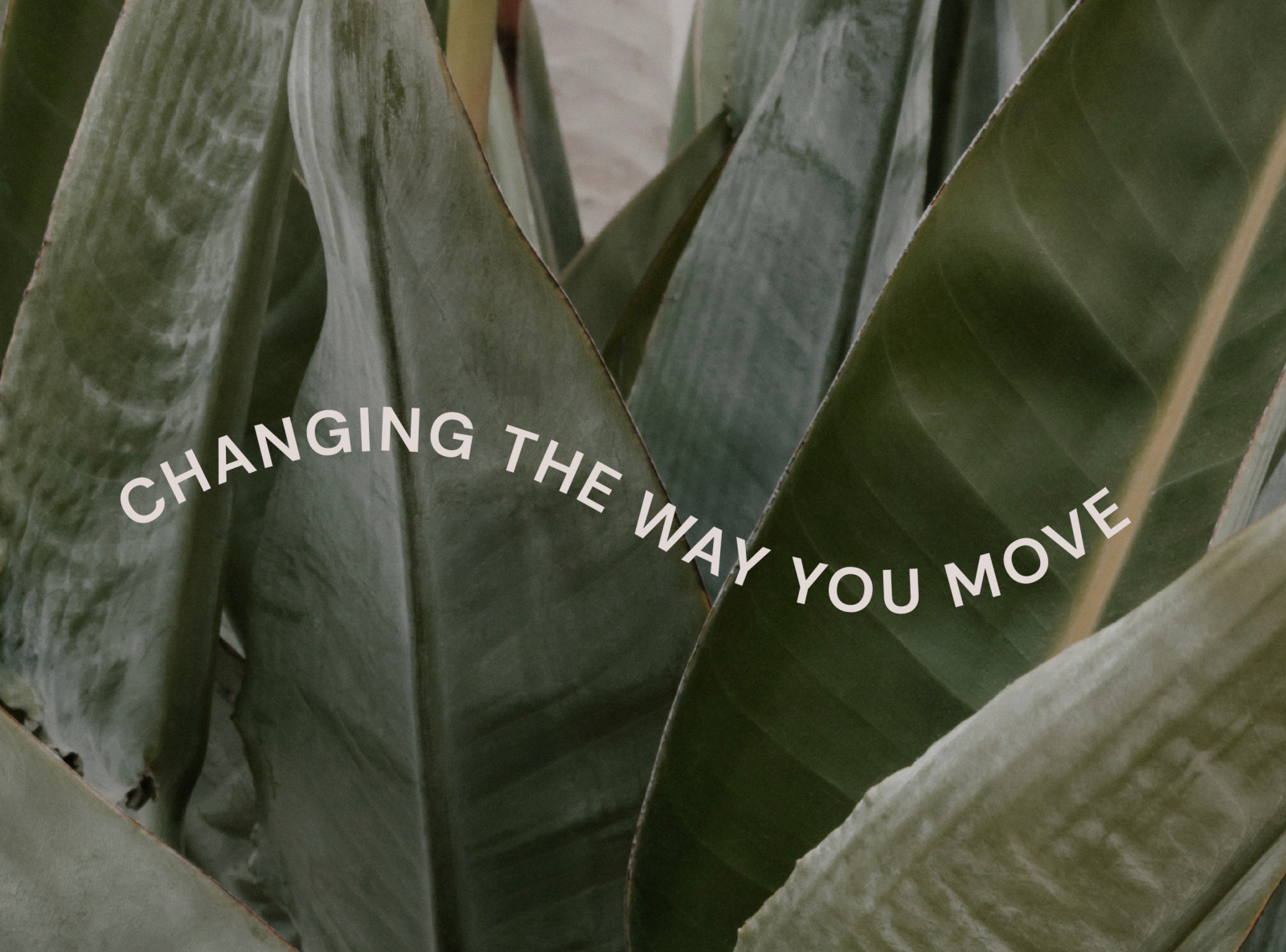 The Blend: Type Treatment by Demi on Dribbble