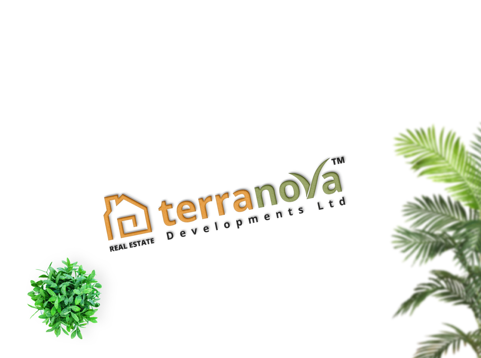 Logo Professional Retouch by ASIVE CHOWDHURY on Dribbble