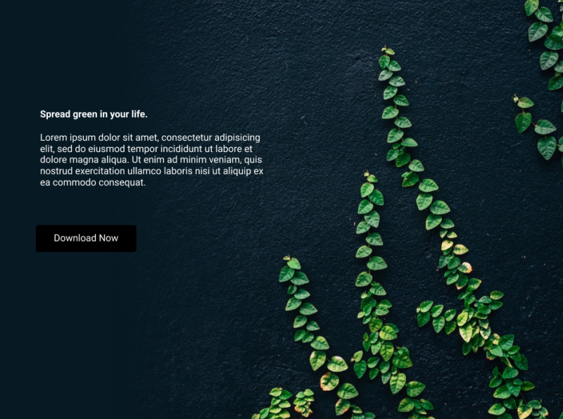 Soft Crop by Jake on Dribbble