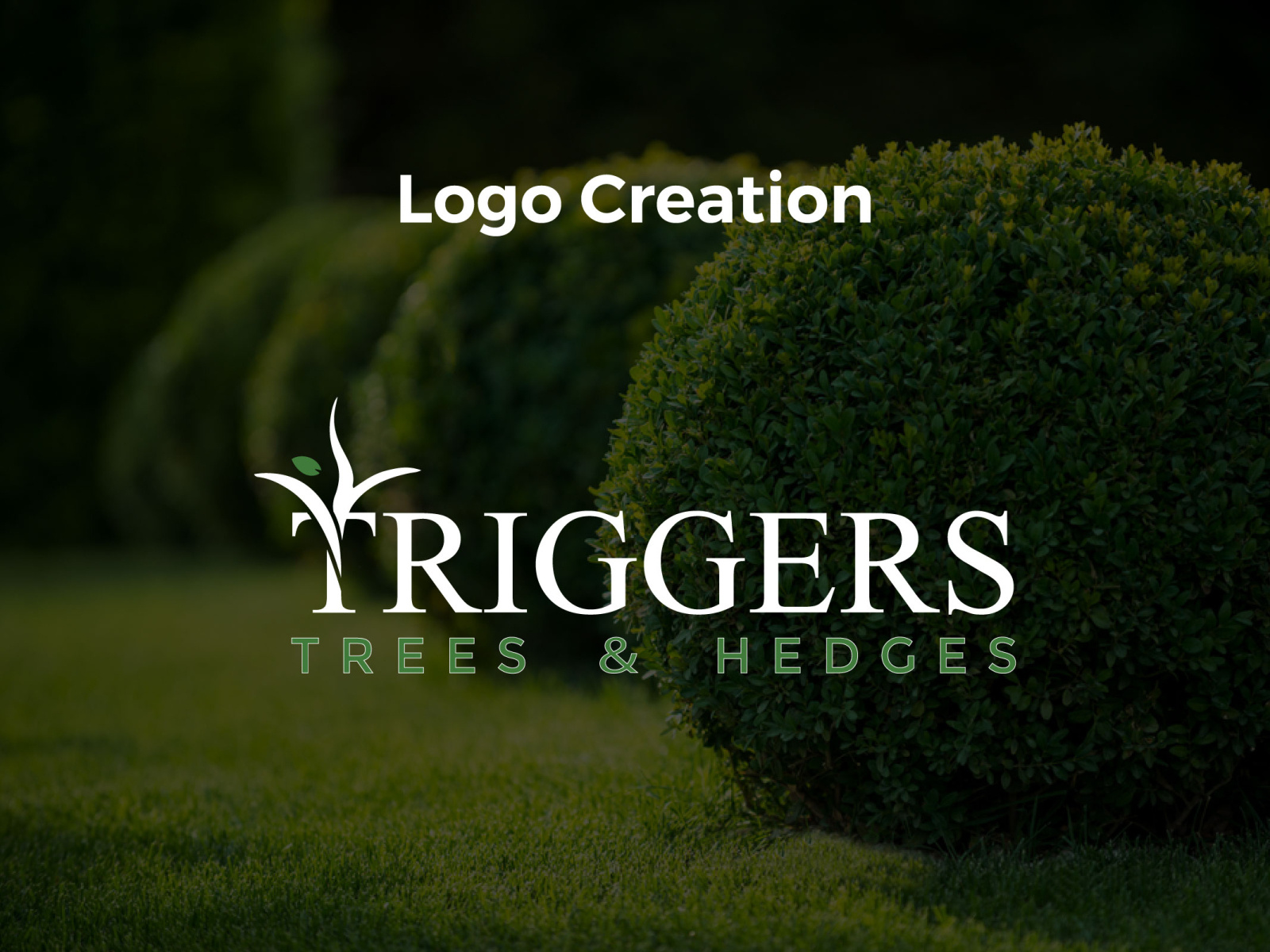 Triggers Trees and Hedges Logo Design by DB IT - Daniel Bunn on Dribbble