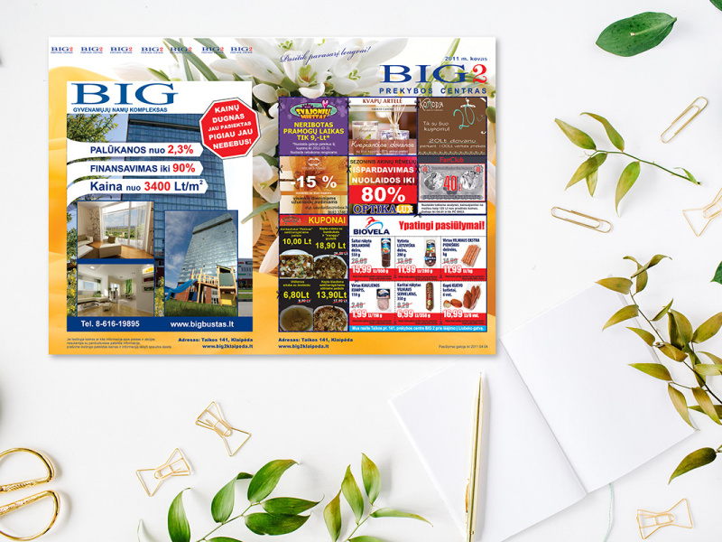 BIG leaflet by Neringa on Dribbble