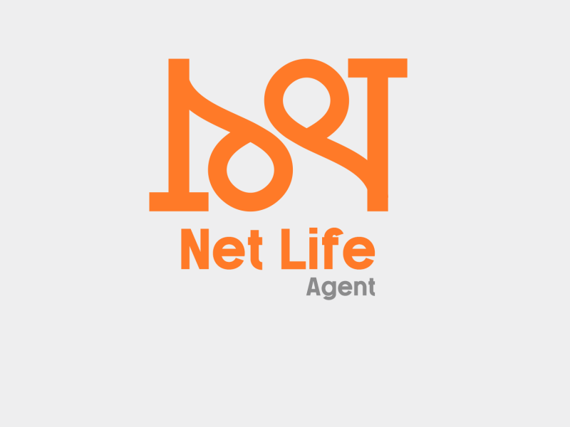 Net logo by AfthonInDesain on Dribbble