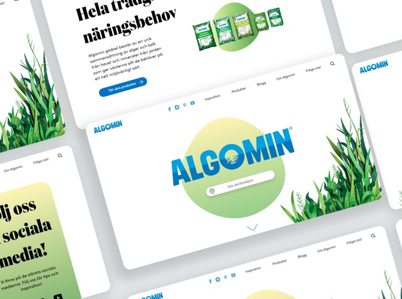 Algomin | Web design by Mikael Edgren on Dribbble