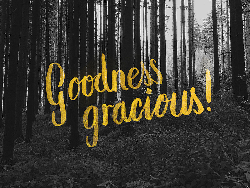 Goodness gracious! by Jonathan Ogden on Dribbble
