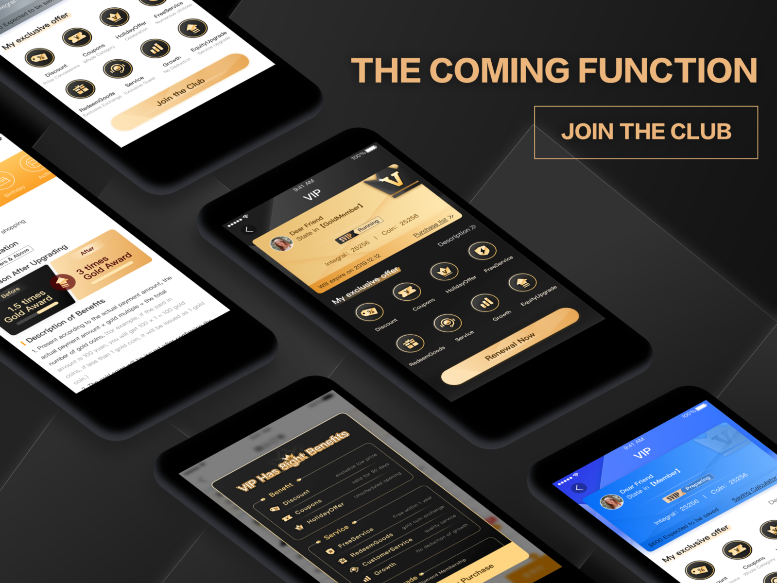 Purchase VIP and Benefits - the coming function by JasonFe on Dribbble