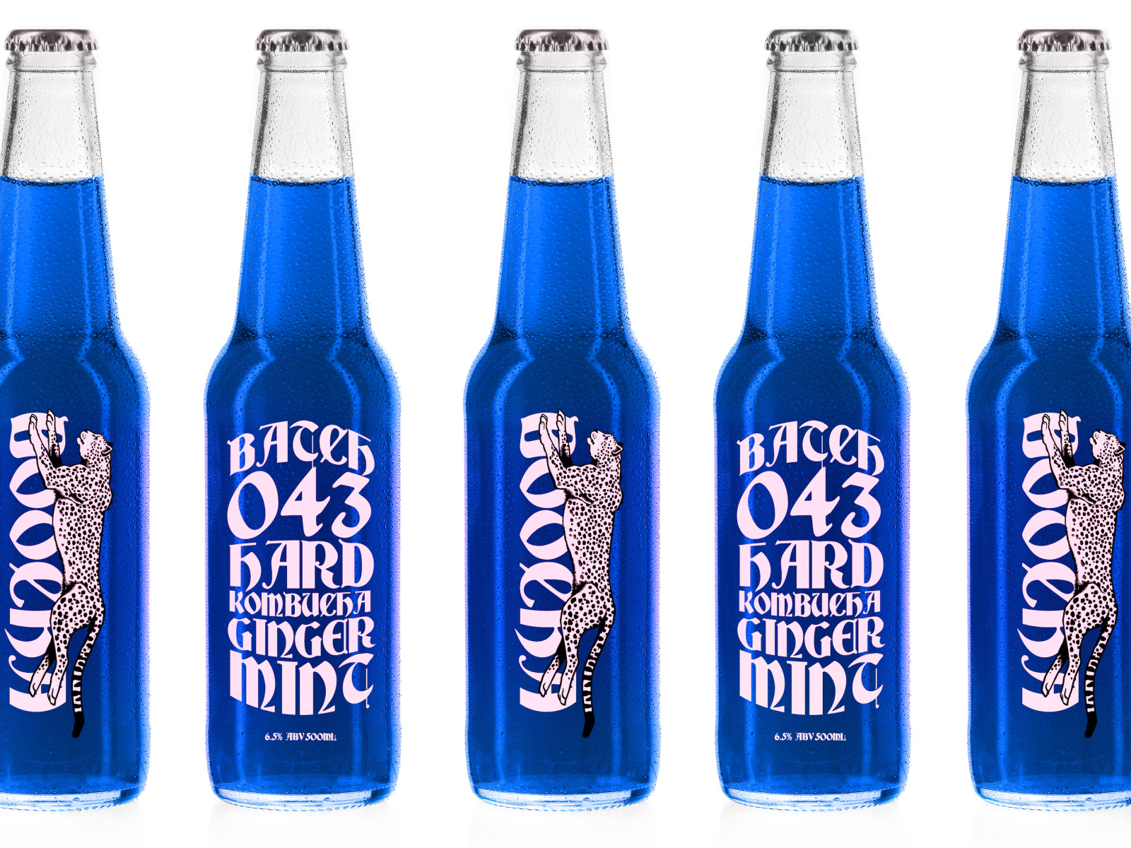Boocha Hard Kombucha by Aja M Johnson on Dribbble