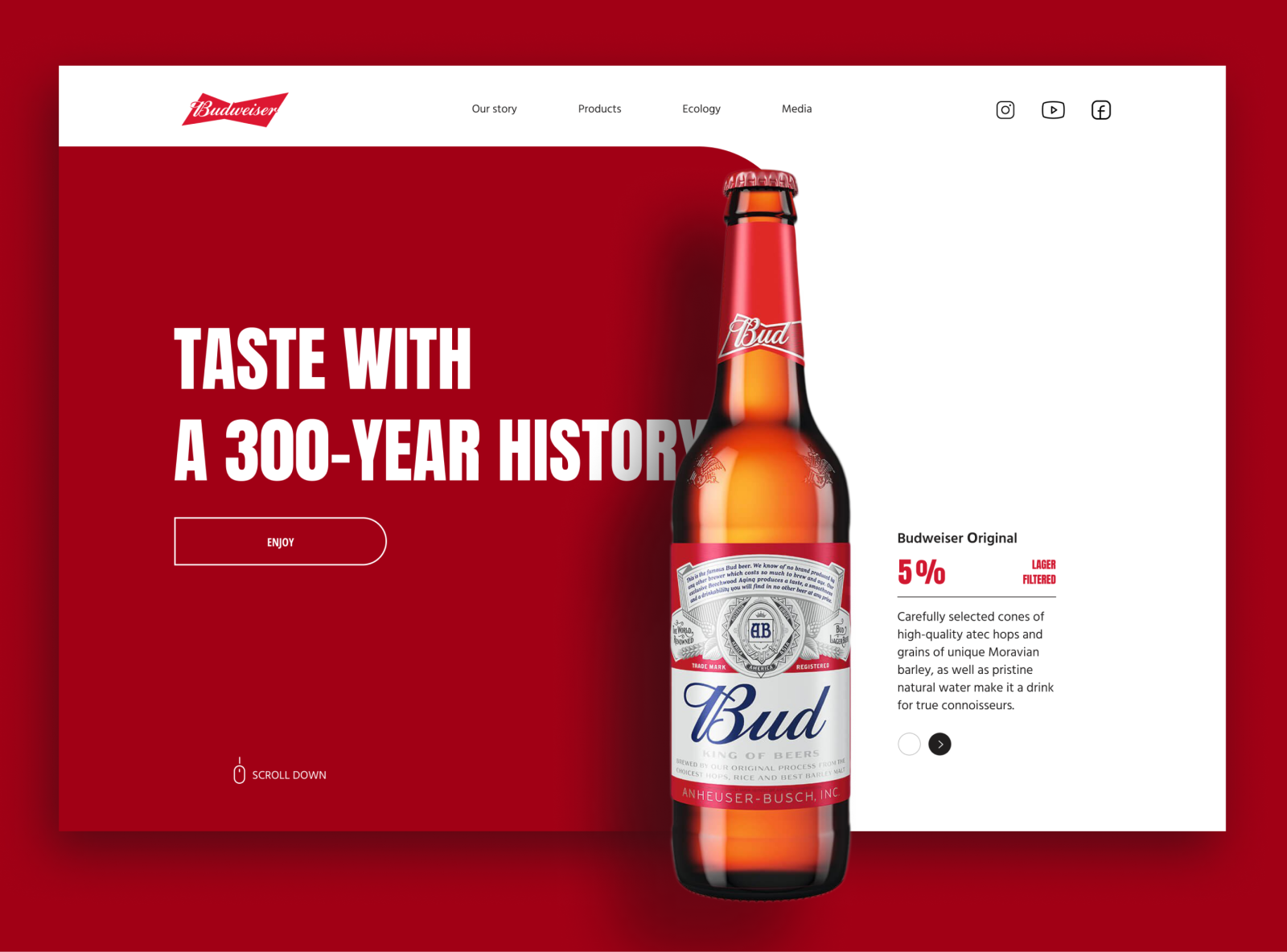 Budweiser beer website concept by Renata on Dribbble