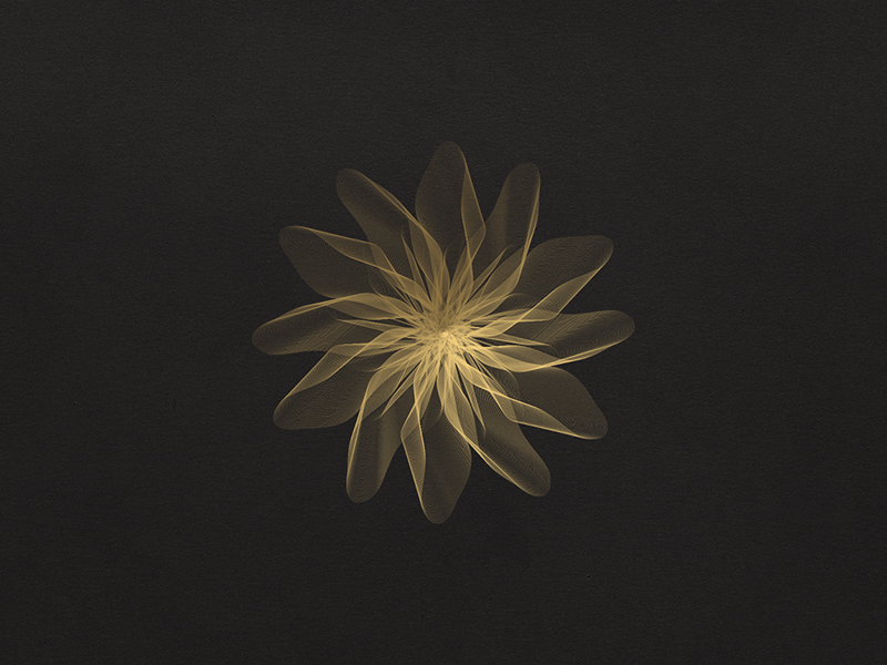 Fleur d'Or - 1 by Helvetiphant™ on Dribbble