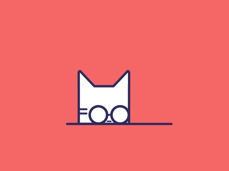 Photography of the cat by Jingkunshi on Dribbble