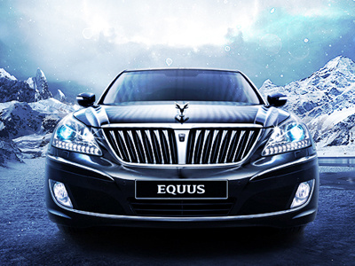 Equus by Develex on Dribbble