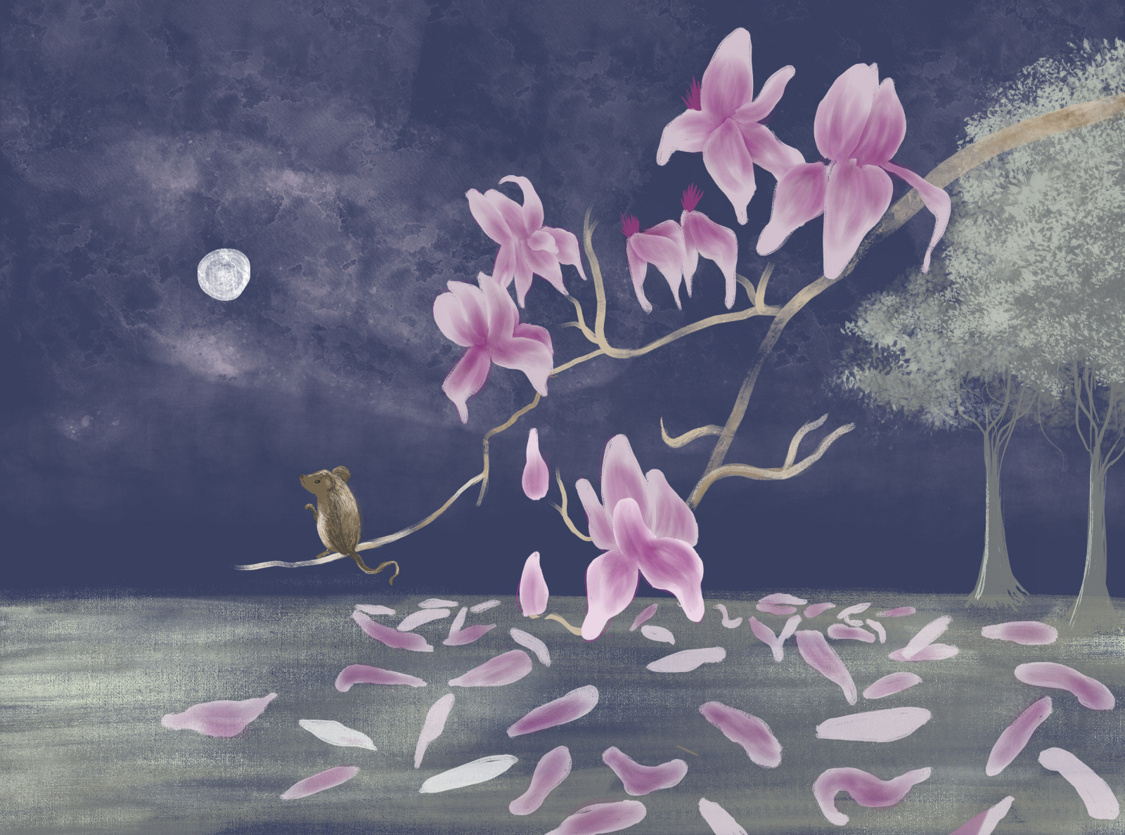 Pink Magnolia Moon by Rebecca Rippon on Dribbble