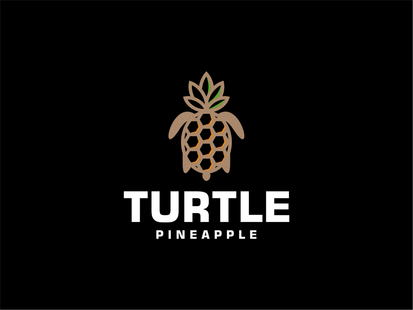 PINEAPPLE AND TURTLE LOGO by ReynolaStd on Dribbble
