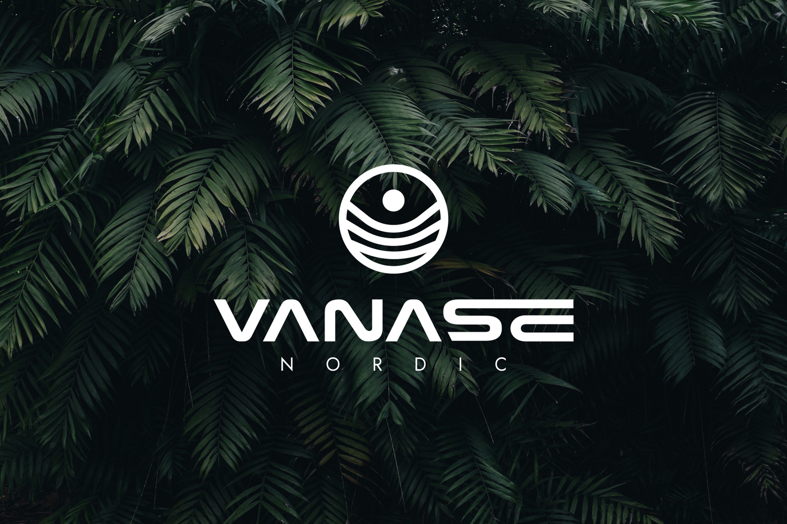 Vanase Logo Design and Branding by Icoazt on Dribbble