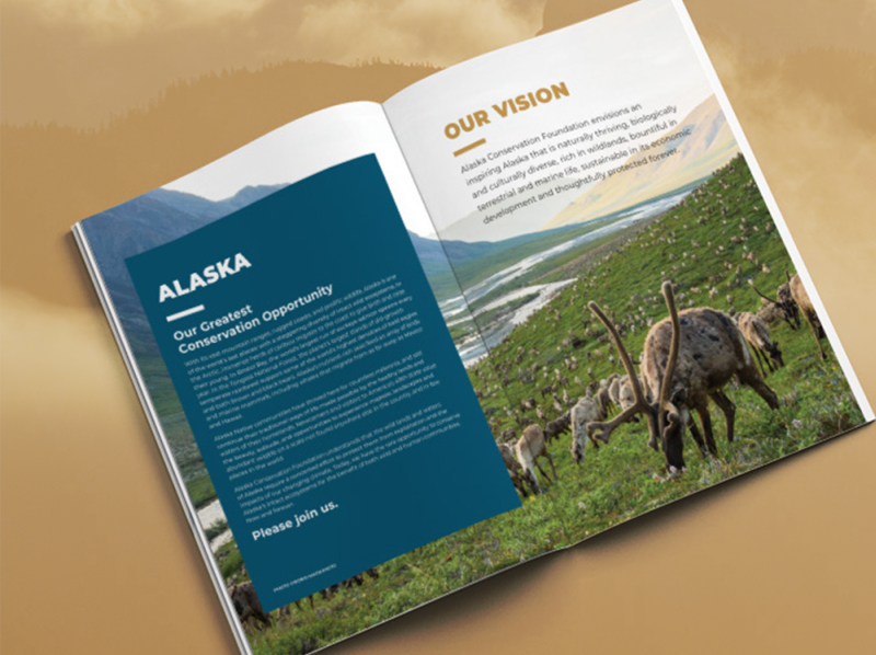 Alaska Conservation Foundation by Adele on Dribbble