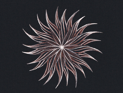 Black sun by Ina Melnik on Dribbble