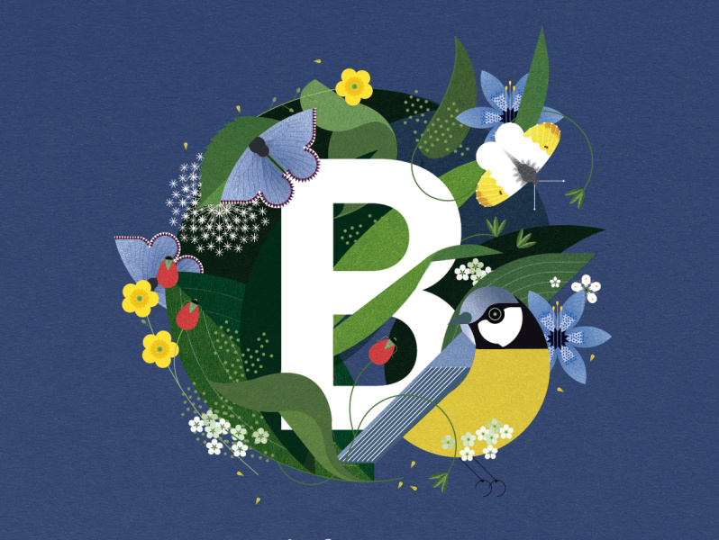 B is for... by Folio Illustration Agency on Dribbble