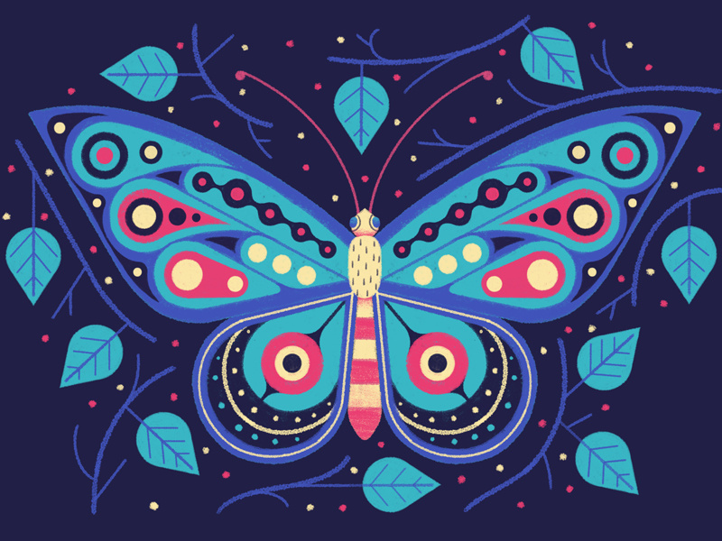 Browse thousands of Butterfly images for design inspiration | Dribbble