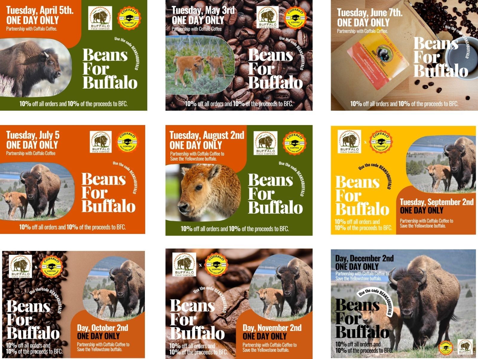 Beans For Buffalo Series by Benny on Dribbble