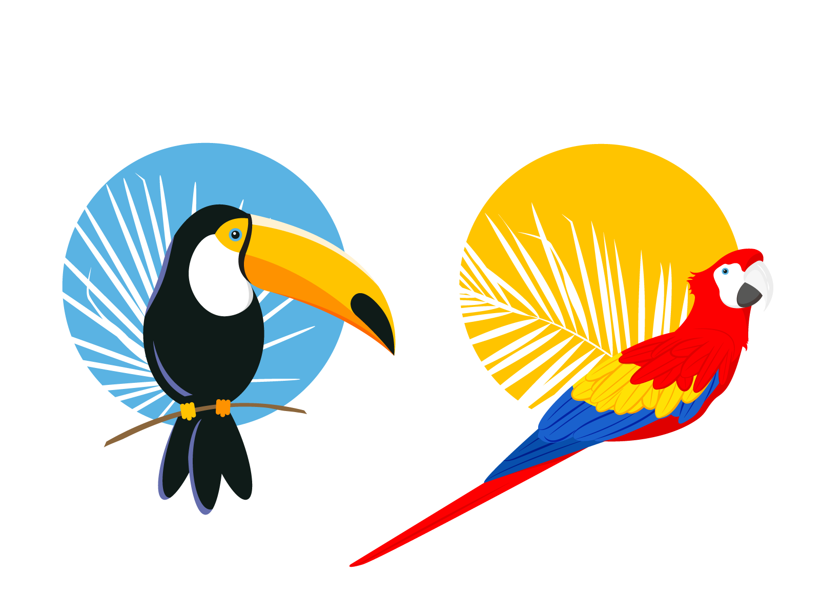 Bright birds 🦜 by Tatiana Malkova on Dribbble