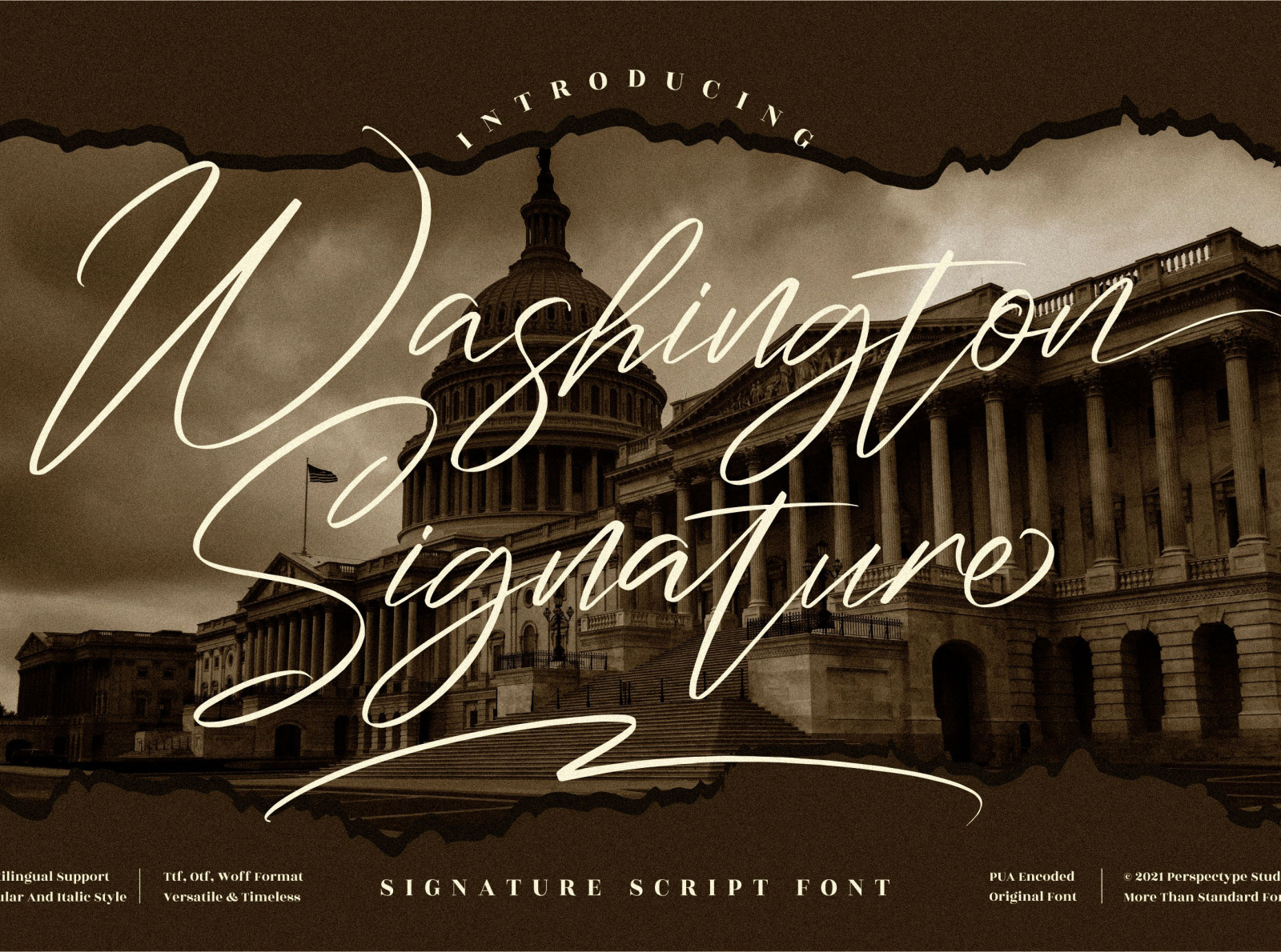 Washington Signature - Signature Script Font by Perspectype Studio on ...