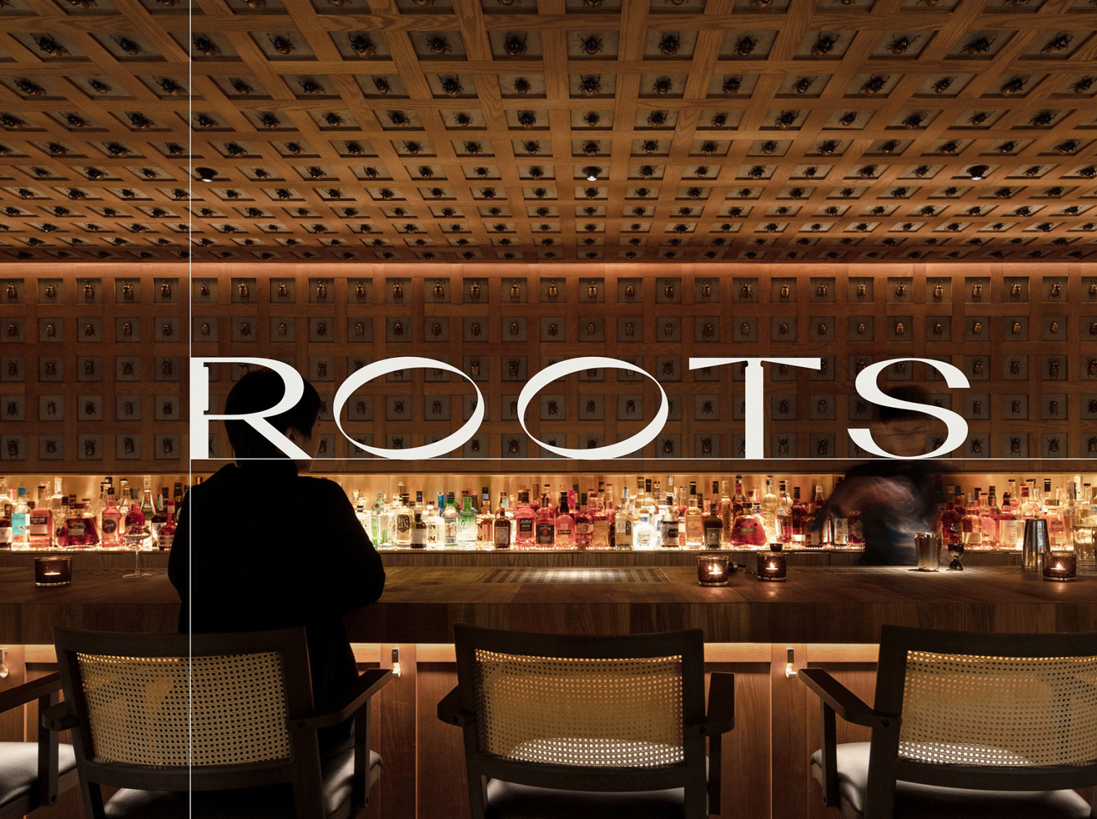 ROOTS Luxury Interior Brand Identity by Fern Thatcher on Dribbble