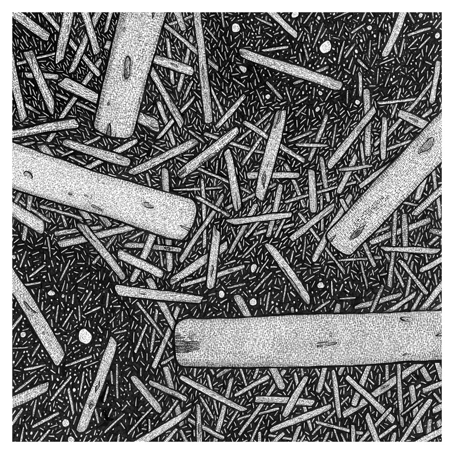 Habitat Fragmentation by Russell Beswick on Dribbble