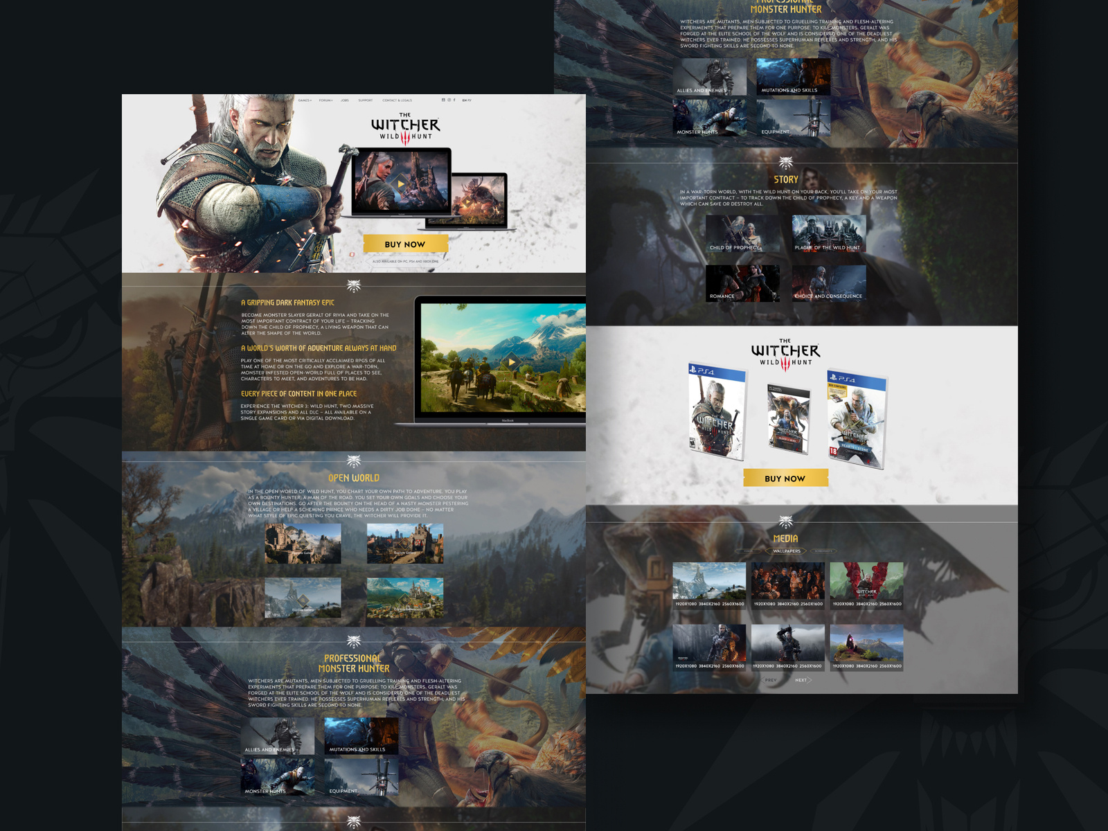 Witcher redesign official website by Victoria Moroz on Dribbble