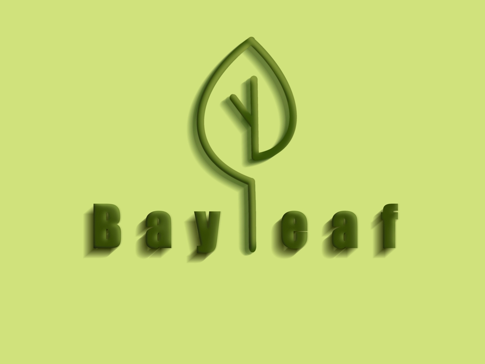 Logo - bay leaf by Margels on Dribbble