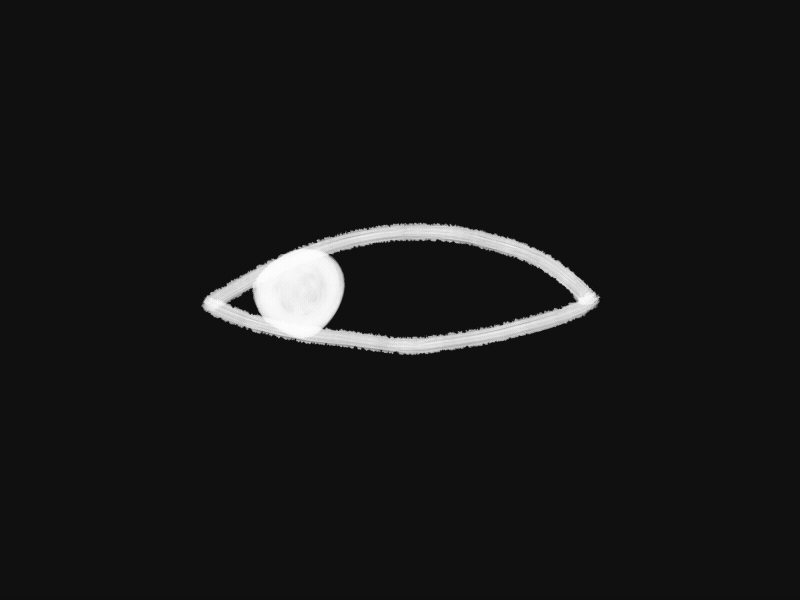 eyes by Marcos Silva on Dribbble