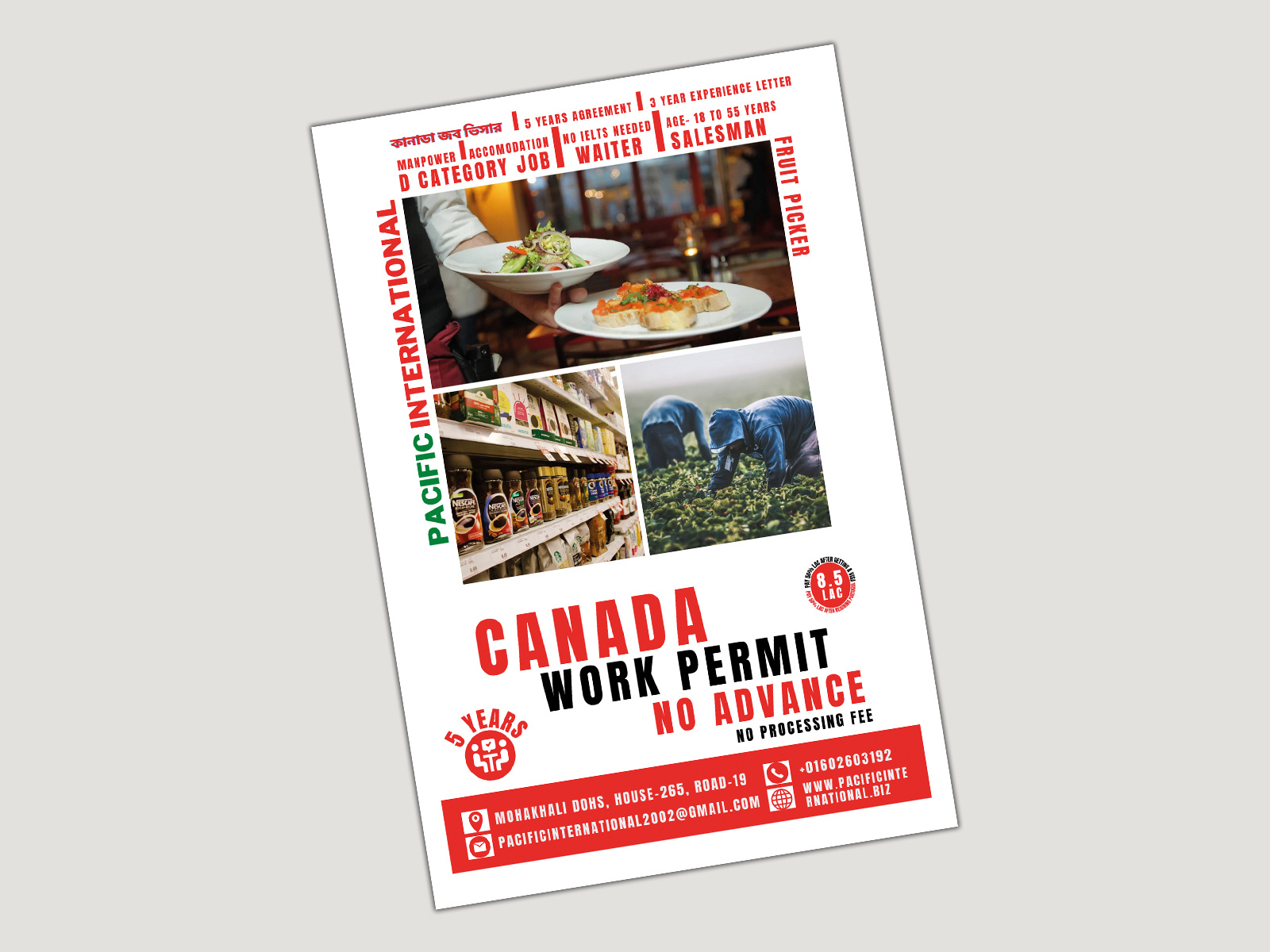 Canada Work Permit Flyer design by Johirul Islam on Dribbble