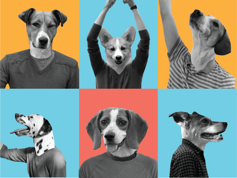 Woofles Dogs by Gabrielle Moran on Dribbble