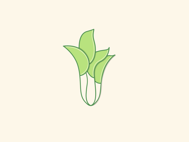 Pak Choy by Nazuba on Dribbble