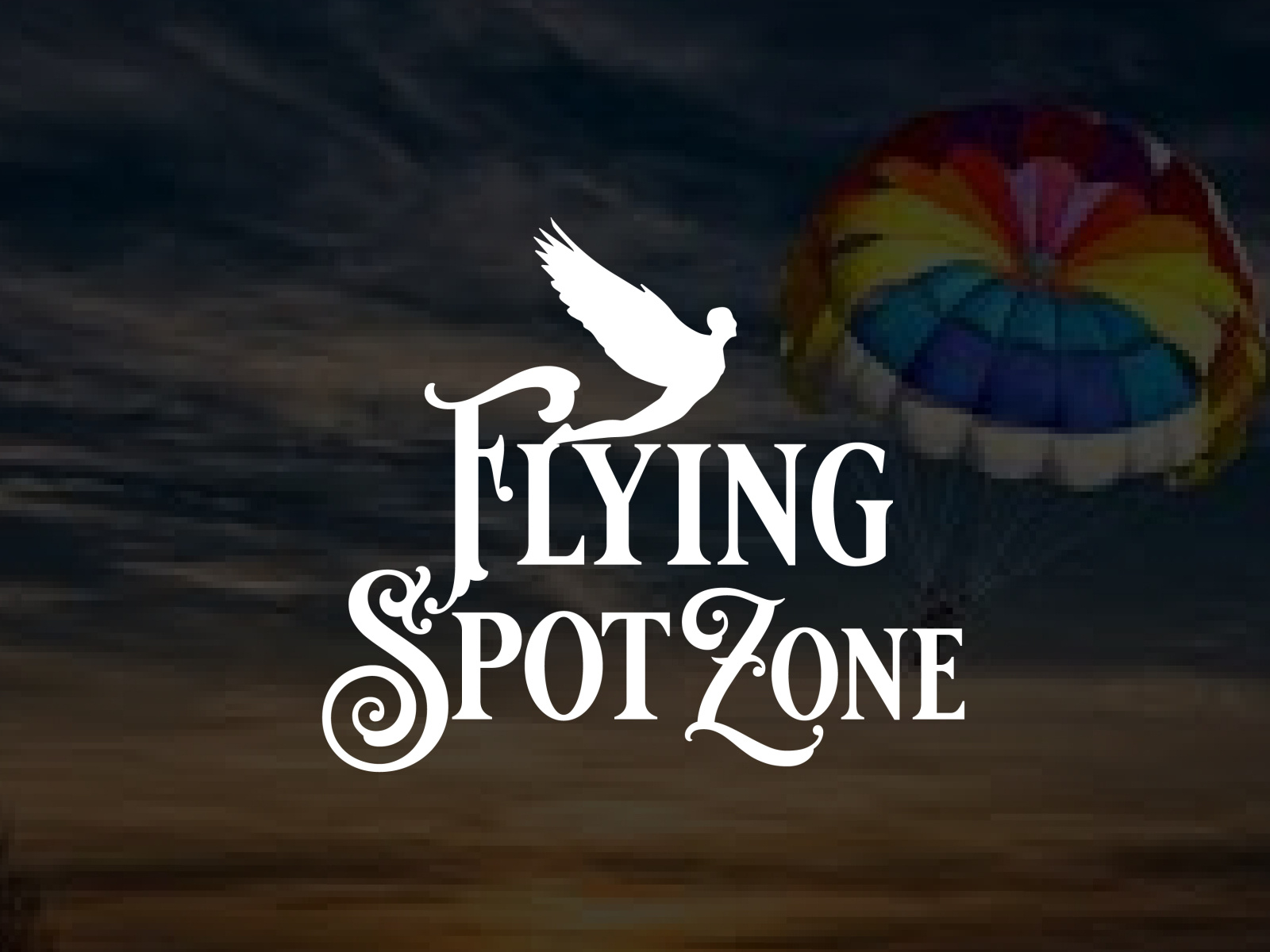 Flying Logo/ Fly Logo Design by MD. MANSUR ALI on Dribbble