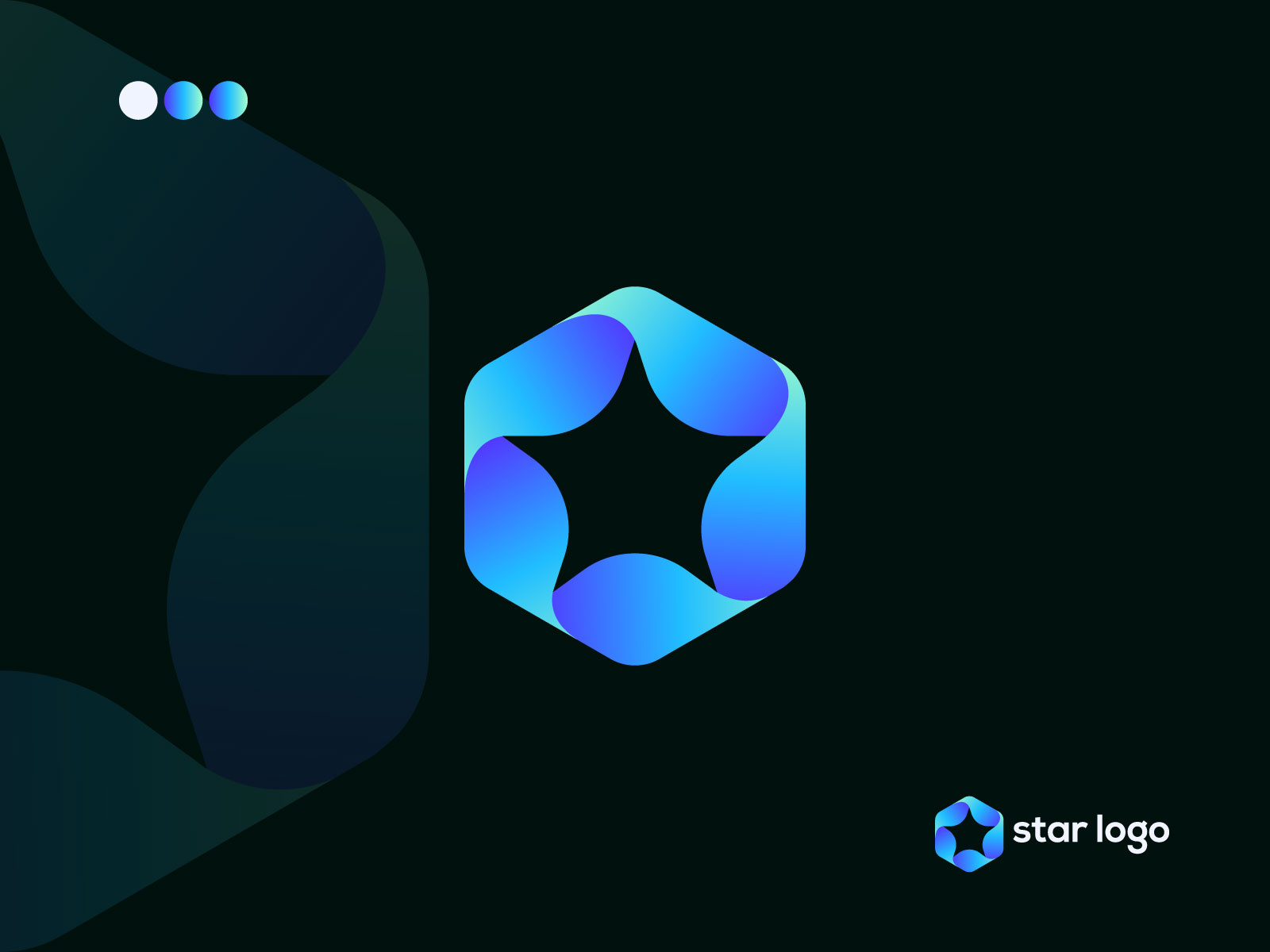 star logo by Ranas Art on Dribbble