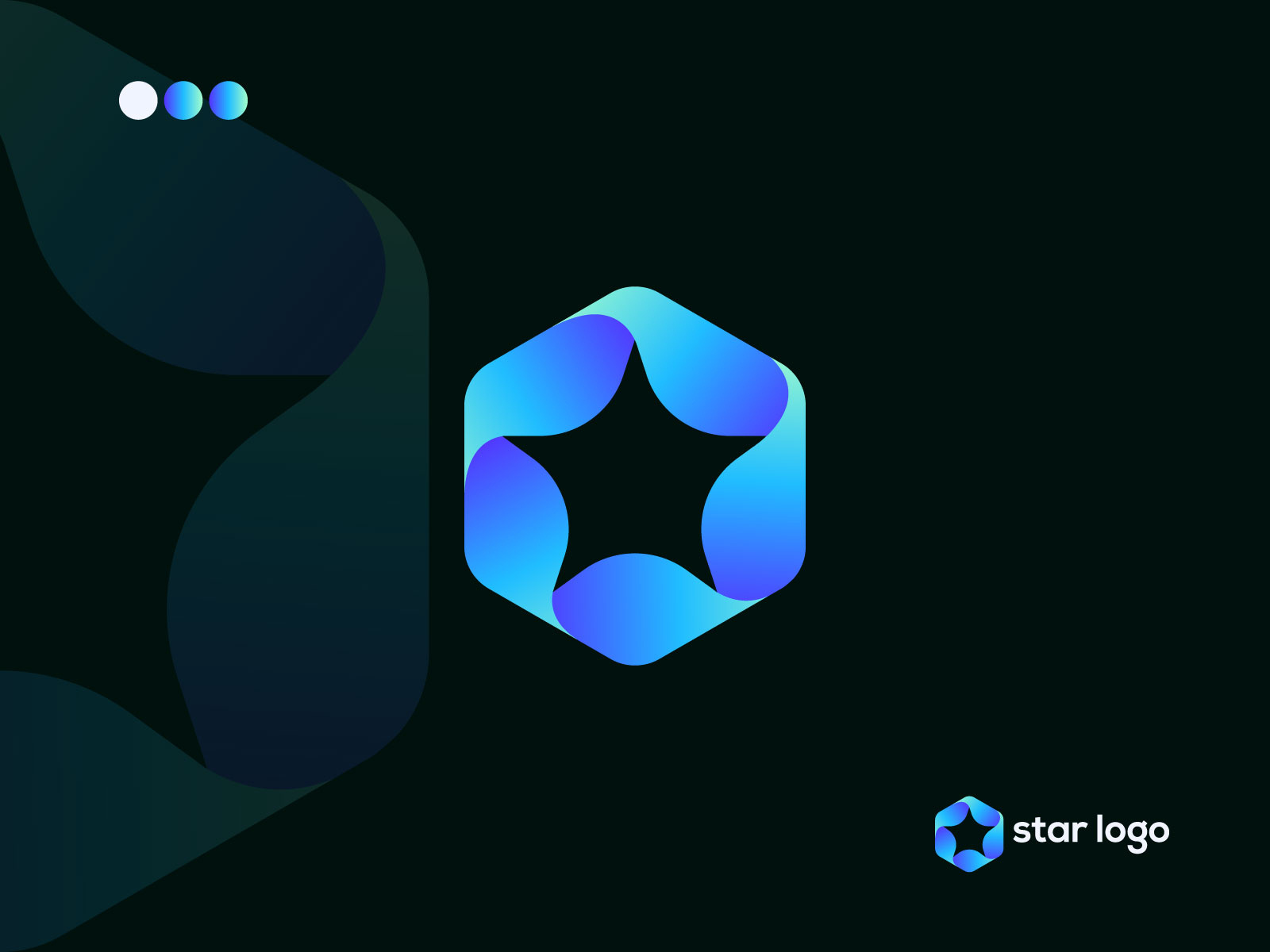 star logo by Ranas Art on Dribbble