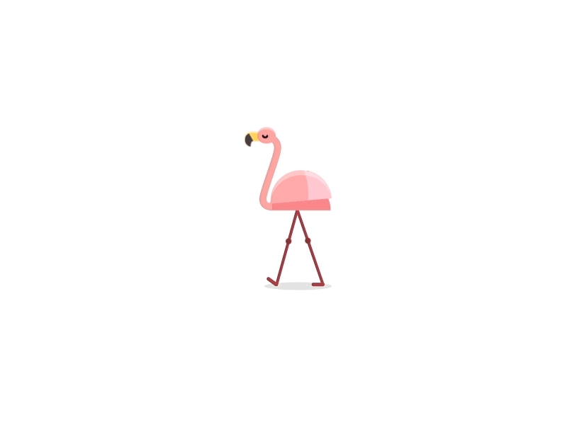 Day 47-48 Flamingo in 2020 | Motion design, Animation design, 100th day