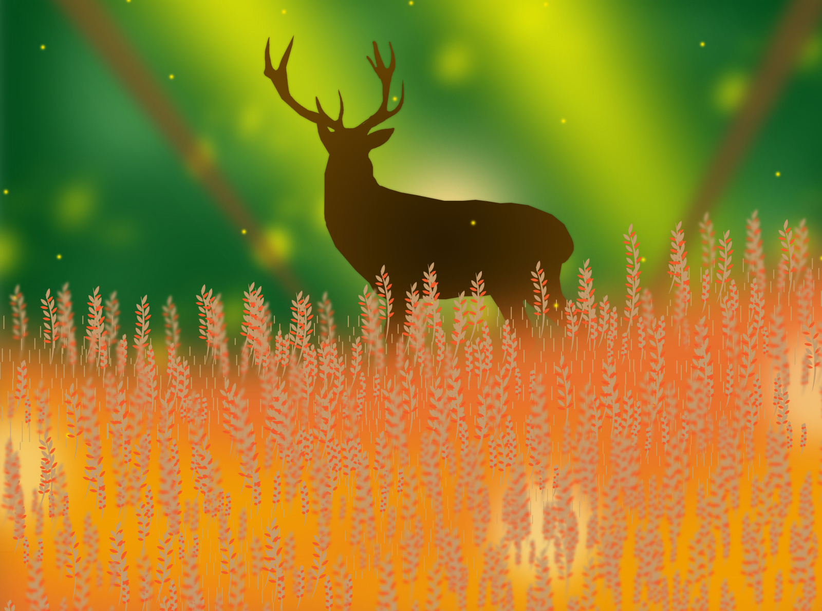 Deer by Puja Chatterjee on Dribbble