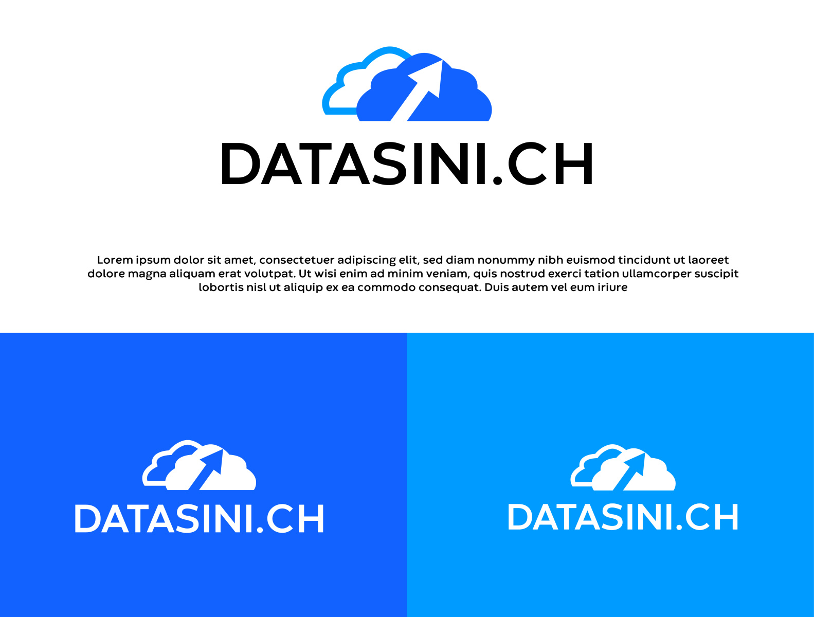 Hosting & Cloud Company logo by Borun kumar on Dribbble