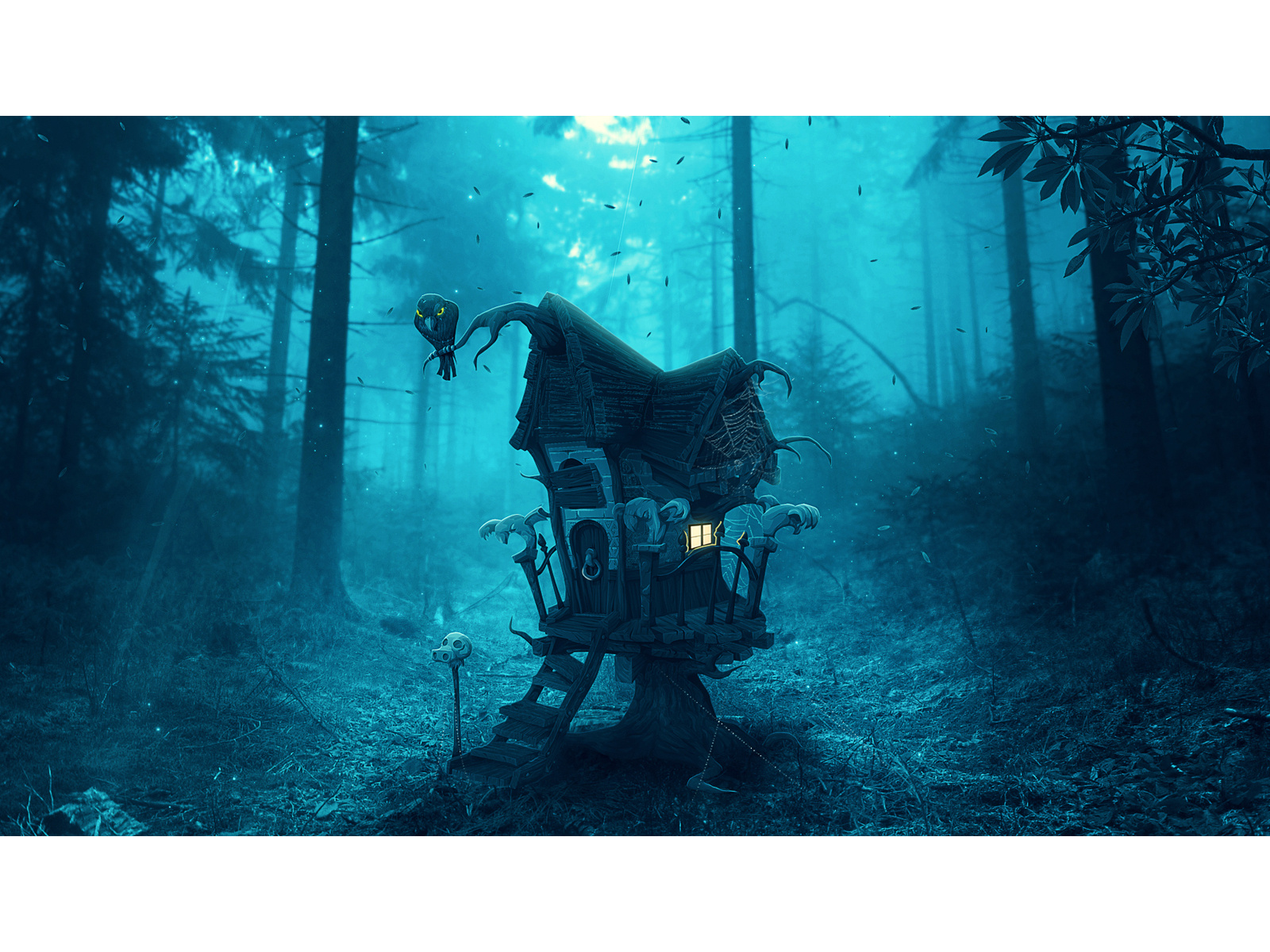 owl manipulation by Ayush verma on Dribbble