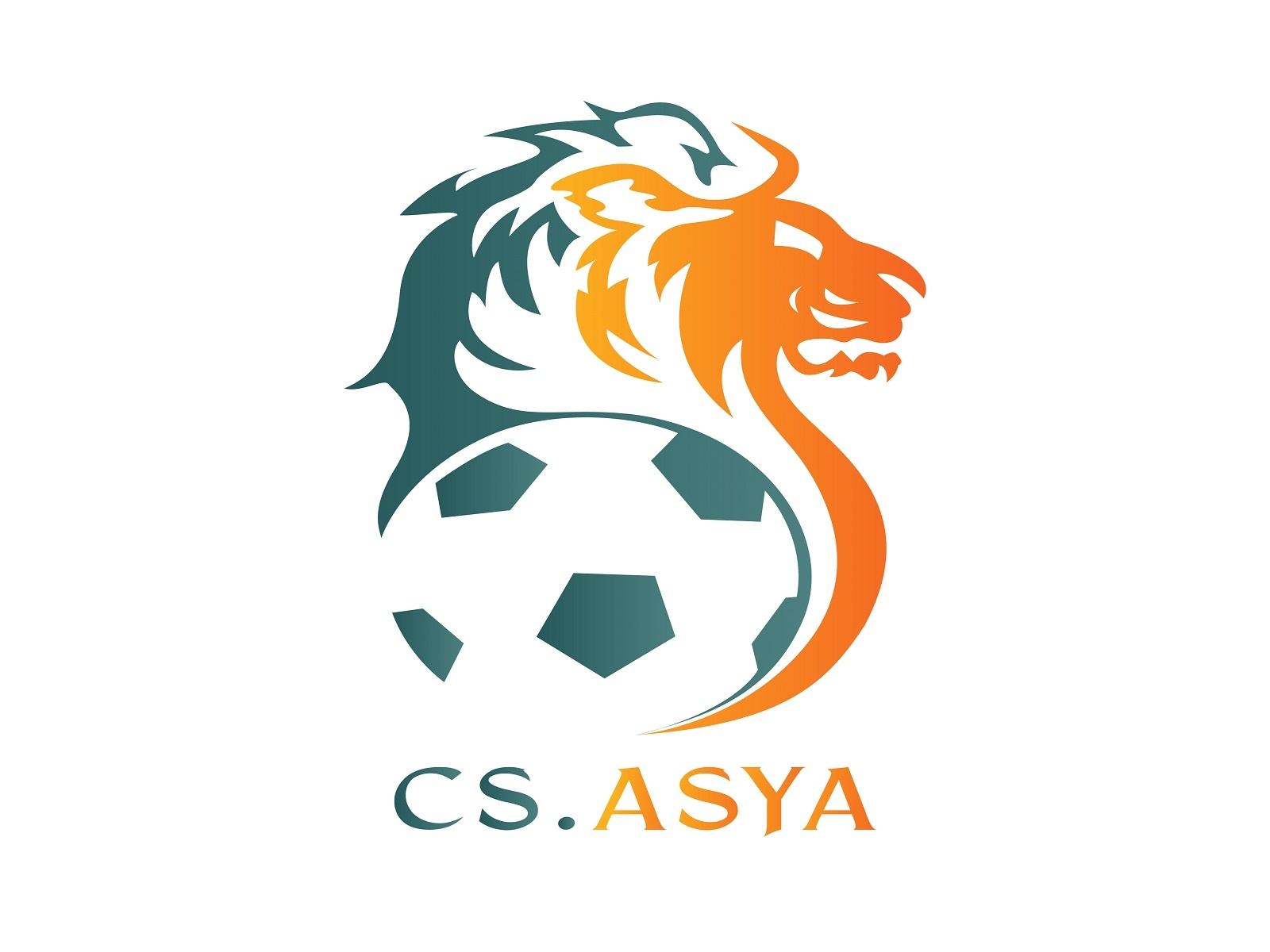CS Asya by Yukitaonline on Dribbble