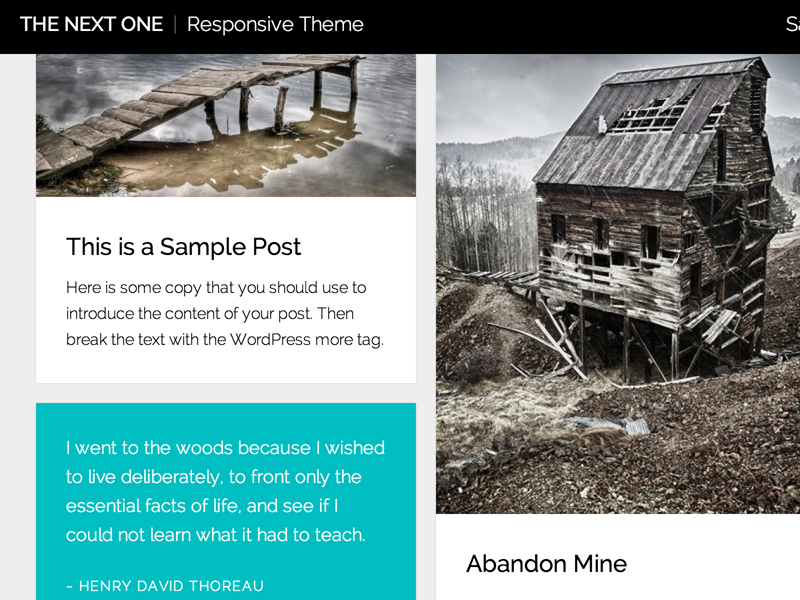 The Next One: Upcoming Genesis Theme by Brian Gardner on Dribbble