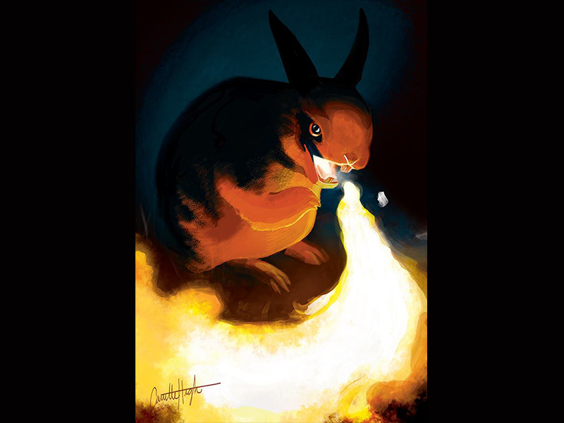Fire Rabbit by Camille Meehan on Dribbble