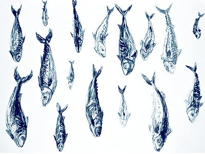 Fish by Andreea Mitica on Dribbble