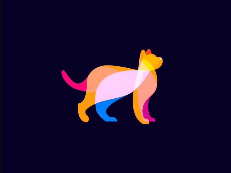 Cat by Ilya Shapko on Dribbble