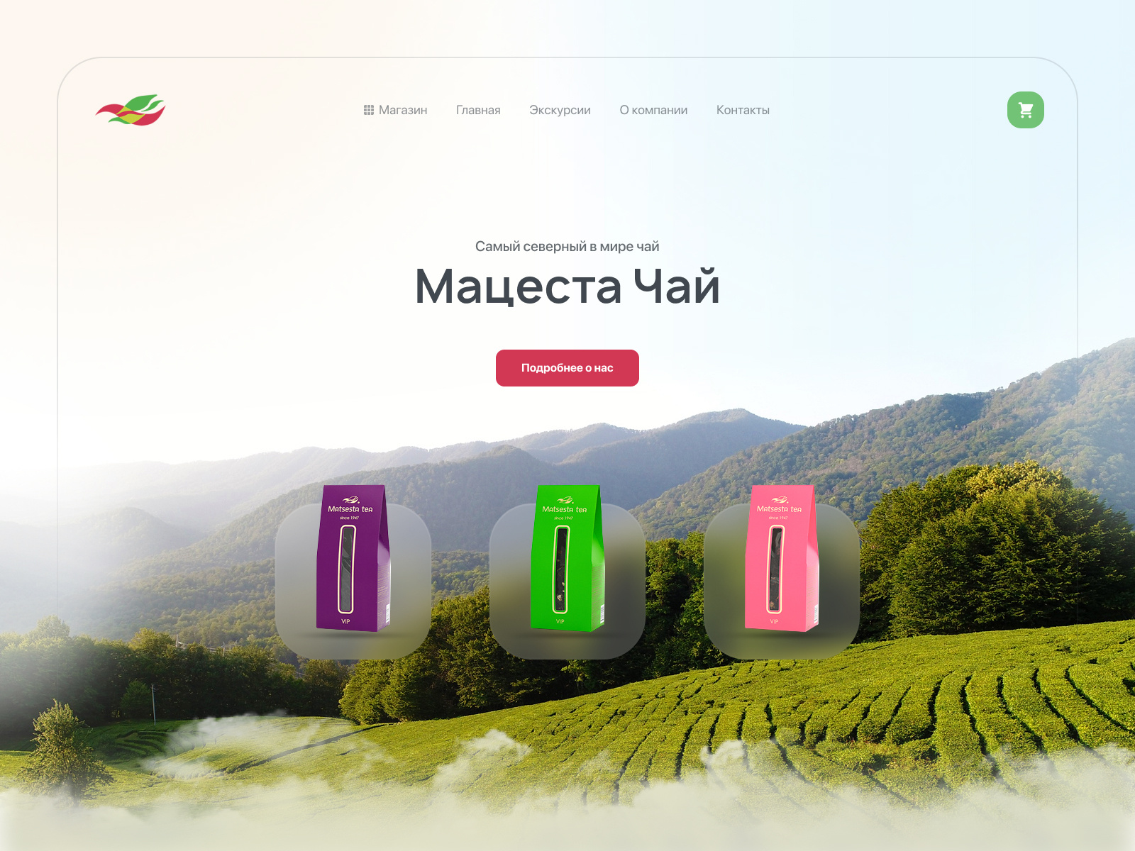 Matsesta Tea 🍃 by Web Studio KIT on Dribbble